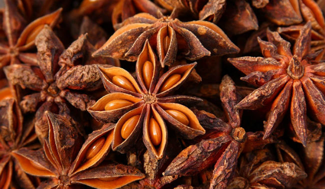 Benefícios do anis estrelado - Receitas e dicas - MundoBoaForma
