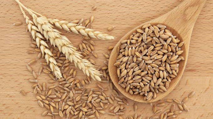 9 Benefícios da Espelta - O Que é, Propriedades e Receitas - MundoBoaForma