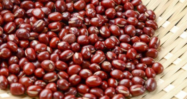 10 Benefícios do Feijão Azuki - Para Que Serve e Propriedades ...