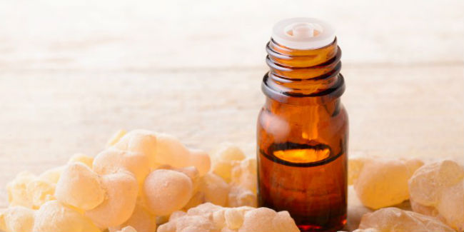 Óleo de Olíbano - O Que é, Para Que Serve, Benefícios e Como Usar ...