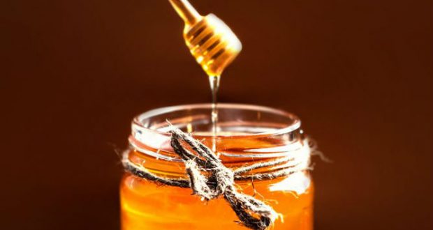 O Que é Mel Orgânico? Benefícios e Diferenças - MundoBoaForma.com.br