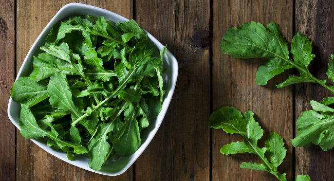 Como Plantar Rúcula em Casa - 10 Passos e Cuidados - MundoBoaForma