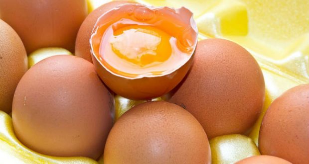 9 Benefícios da Colina - Para Que Serve e Alimentos - MundoBoaForma.com.br