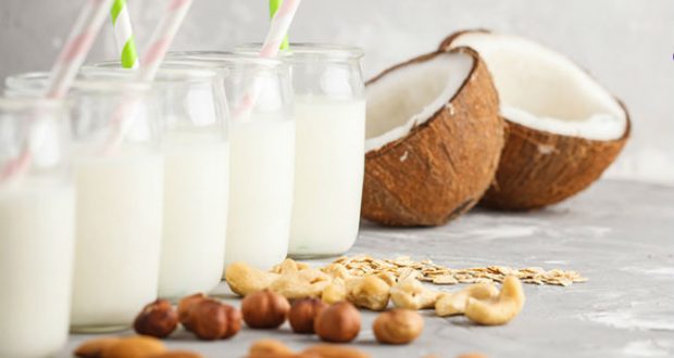 Como Fazer Leite Vegetal - Receitas e Dicas - MundoBoaForma.com.br