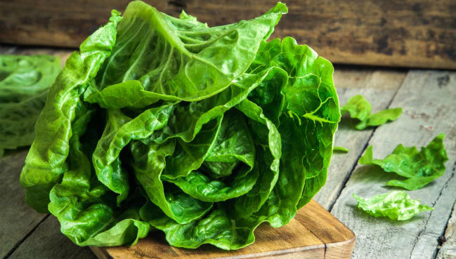 Alface Tem Carboidrato? Tipos, Variações e Dicas - MundoBoaForma