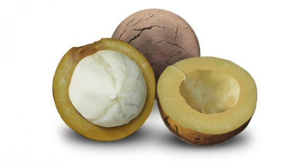 5 Benefícios da Fruta Bacuri - Para Que Serve e Propriedades ...