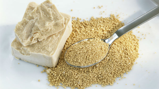 Fermento Engorda? - MundoBoaForma