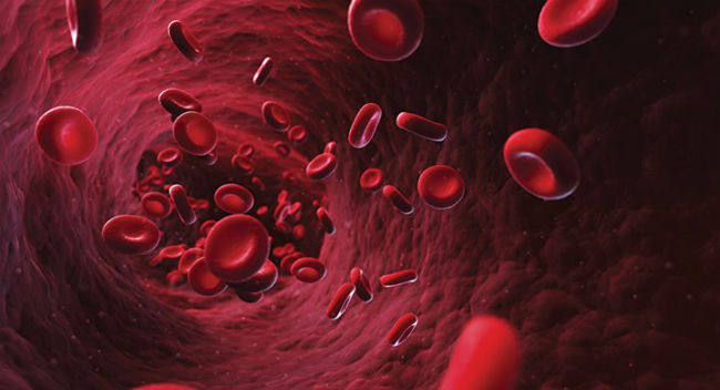 5 Principais Causas da Anemia - Cuidados e Dicas - MundoBoaForma