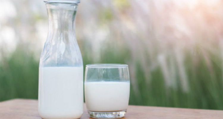 Leite Orgânico - O Que é, Benefícios e Preço - MundoBoaForma