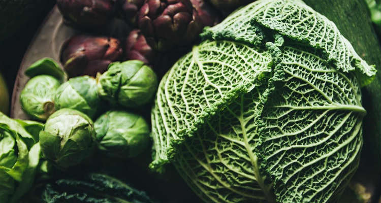 Alimentos Bociogênicos - O Que São e Lista - MundoBoaForma