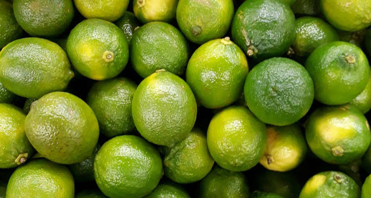 Limão Tem Carboidrato? Frutose? Tipos, Variações e Dicas - MundoBoaForma