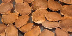 Óleo de Sucupira - O Que É, Para Que Serve, Benefícios e Dicas ...