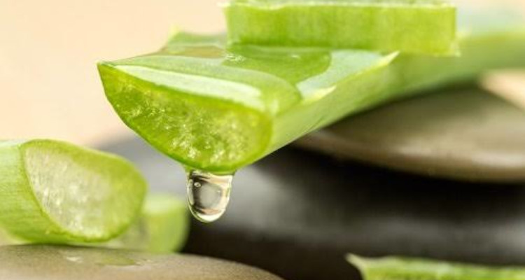 Aloína Emagrece? Para Que Serve, Dosagem e Indicação
