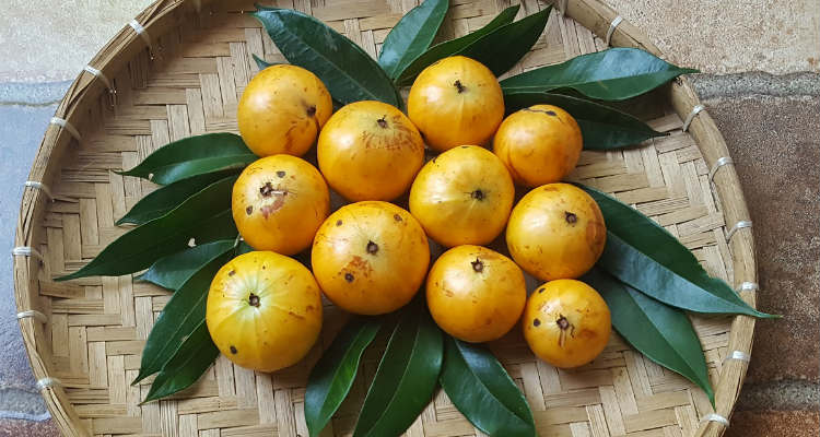 6 Benefícios da Cambucá - Para Que Serve e Propriedades - MundoBoaForma