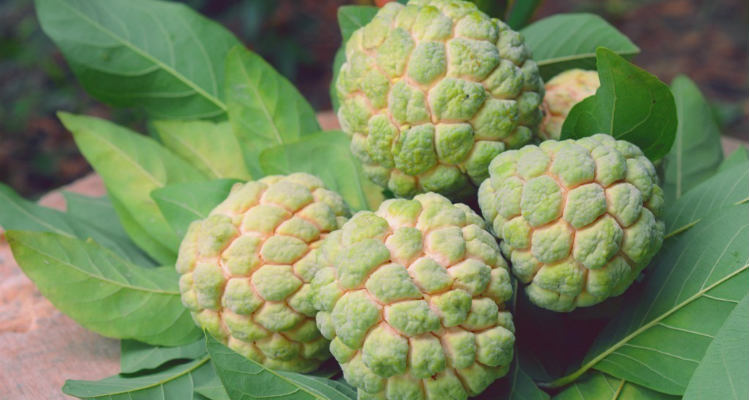 4 Benefícios da Fruta Condessa - Para Que Serve e Propriedades ...