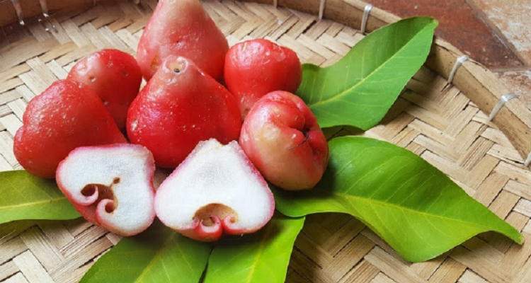 4 Benefícios do Jambo Rosa - Para Que Serve e Propriedades - MundoBoaForma