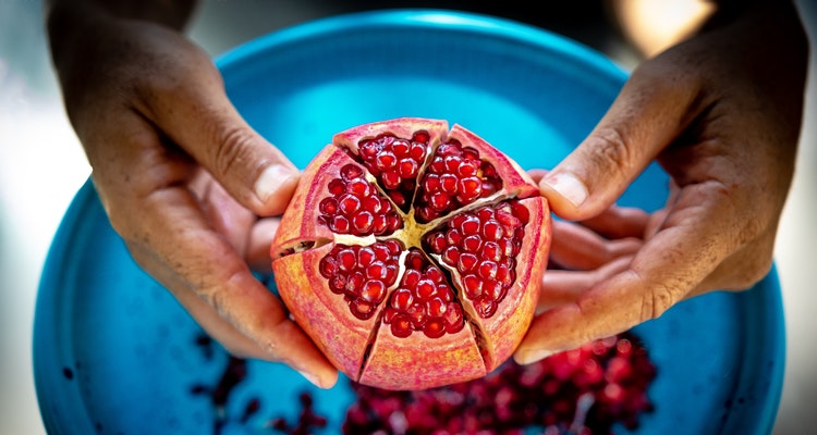 Como Plantar Romã em Casa - Passo a Passo e Cuidados - MundoBoaForma