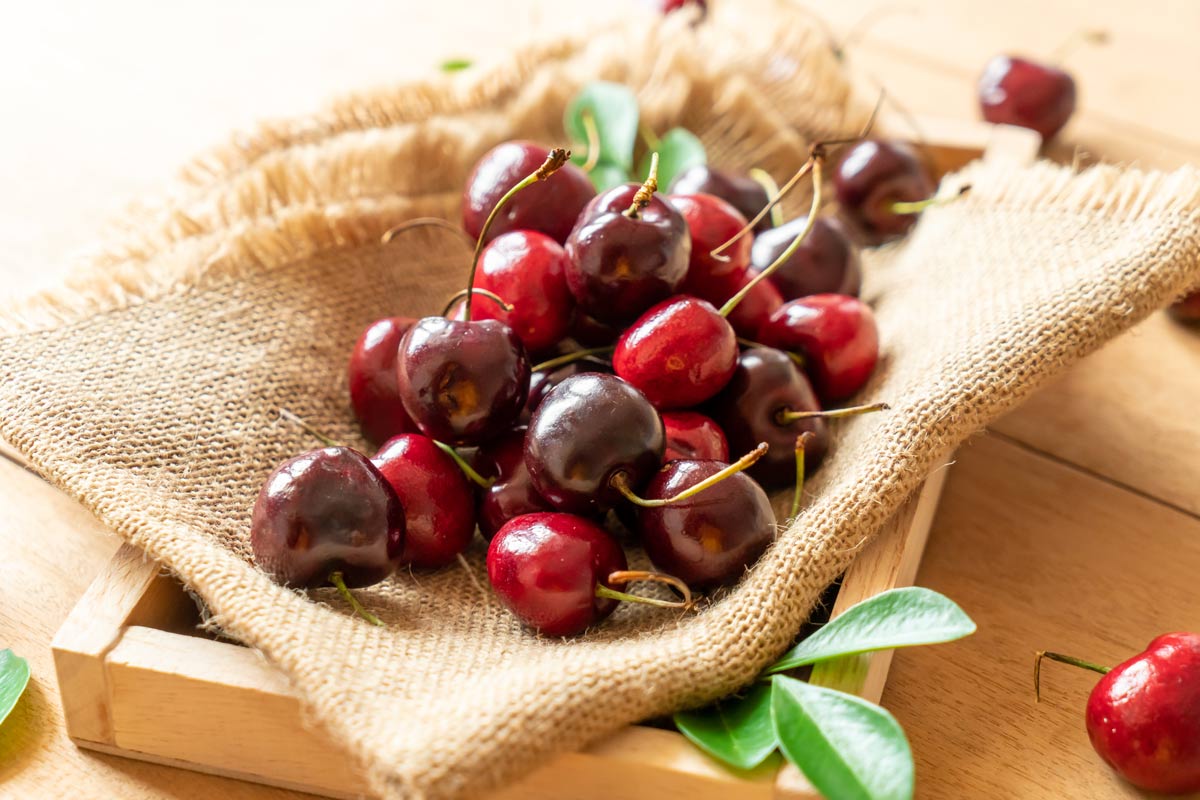 Como plantar cereja em casa - Passo a passo e cuidados - MundoBoaForma