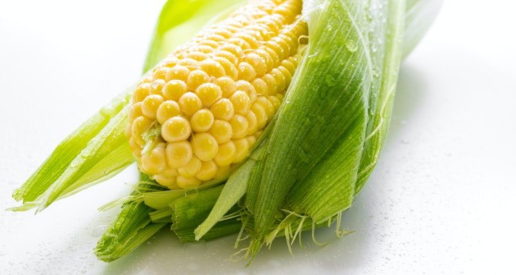 Tudo sobre cuidados com a pele - MundoBoaForma.com.br