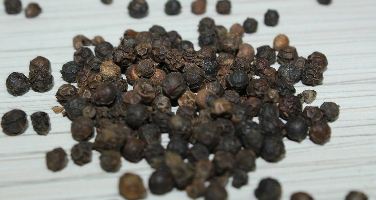 O que é BioPerine e para que serve? - MundoBoaForma