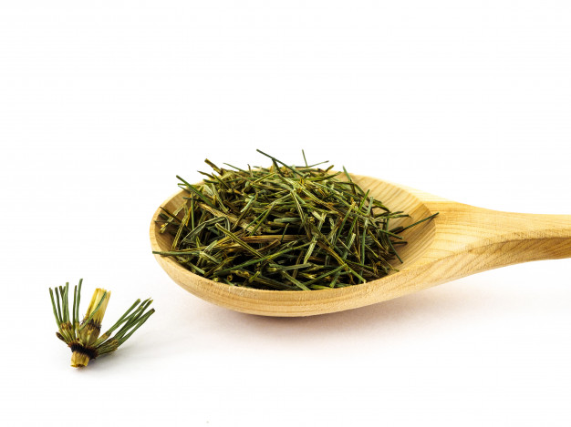 Benefícios do chá de cavalinha, dicas e receitas - MundoBoaForma