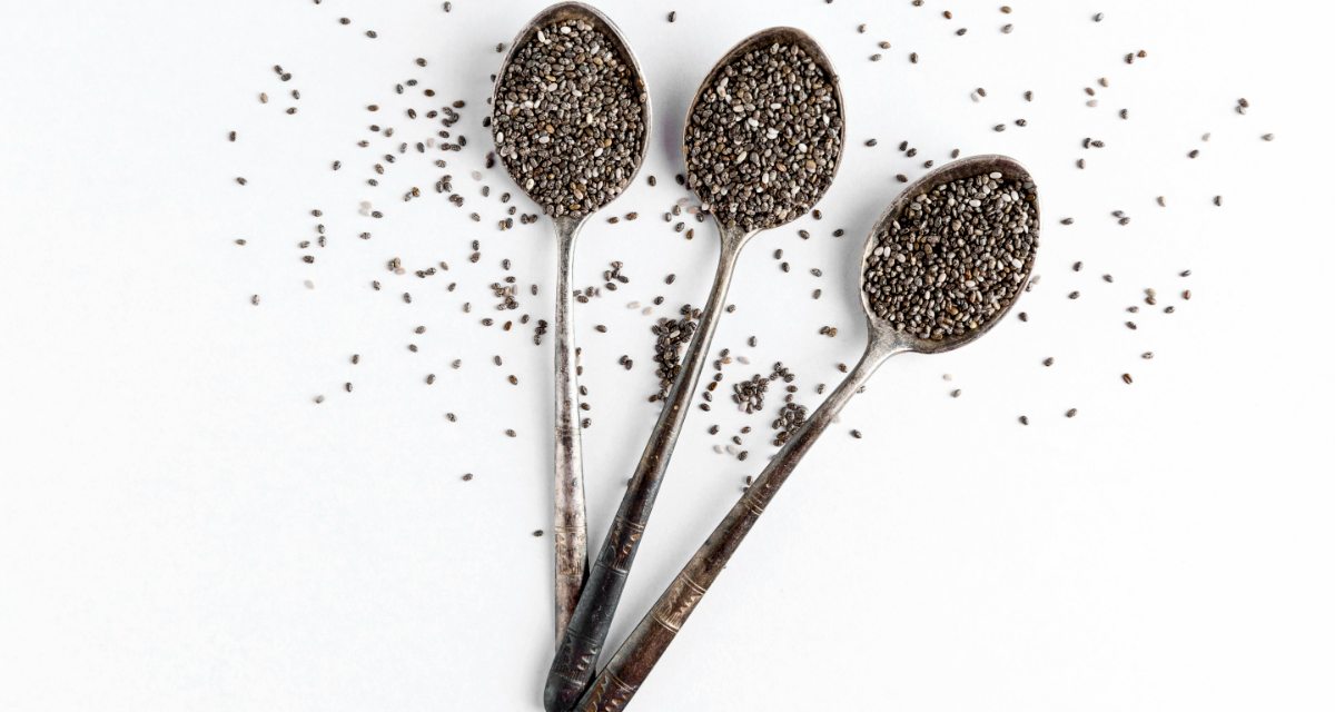 7 benefícios em usar chia diariamente e como usar na dieta - MundoBoaForma
