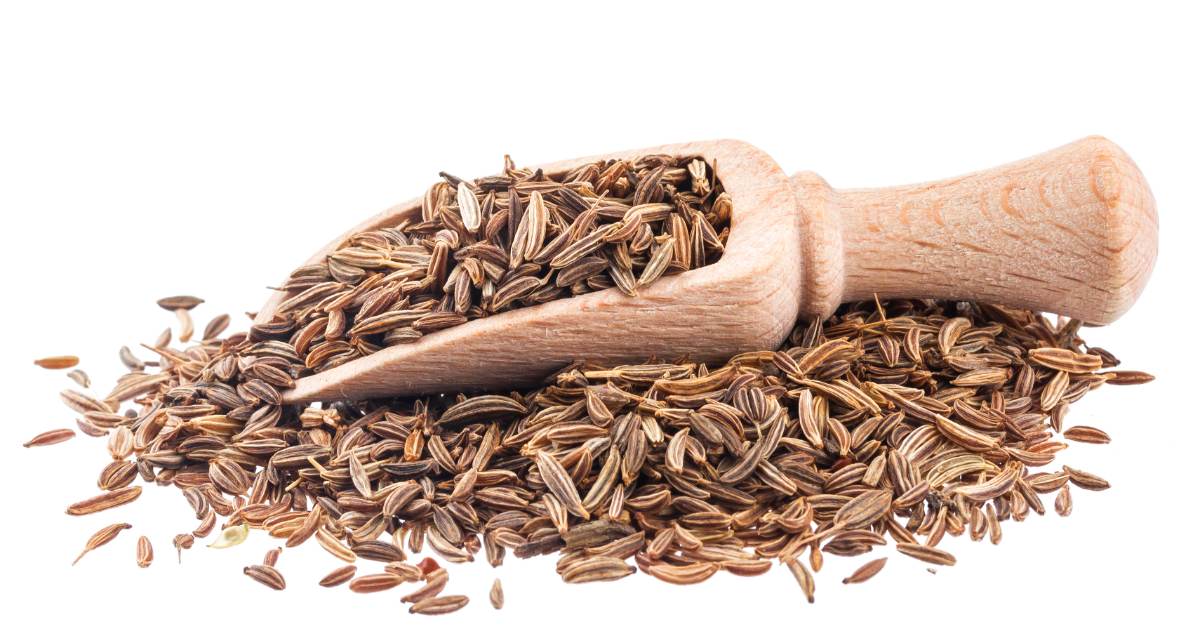 Tudo sobre propriedades do cominho - MundoBoaForma