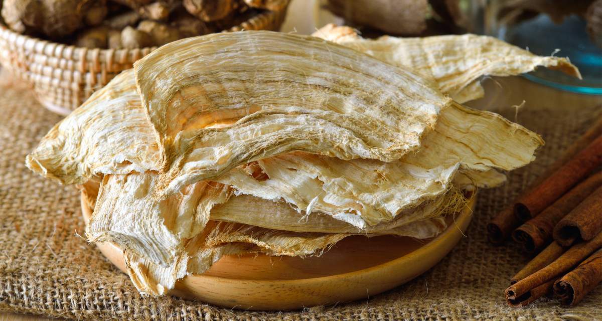 Pueraria Mirifica funciona? Antes e depois e benefícios - MundoBoaForma