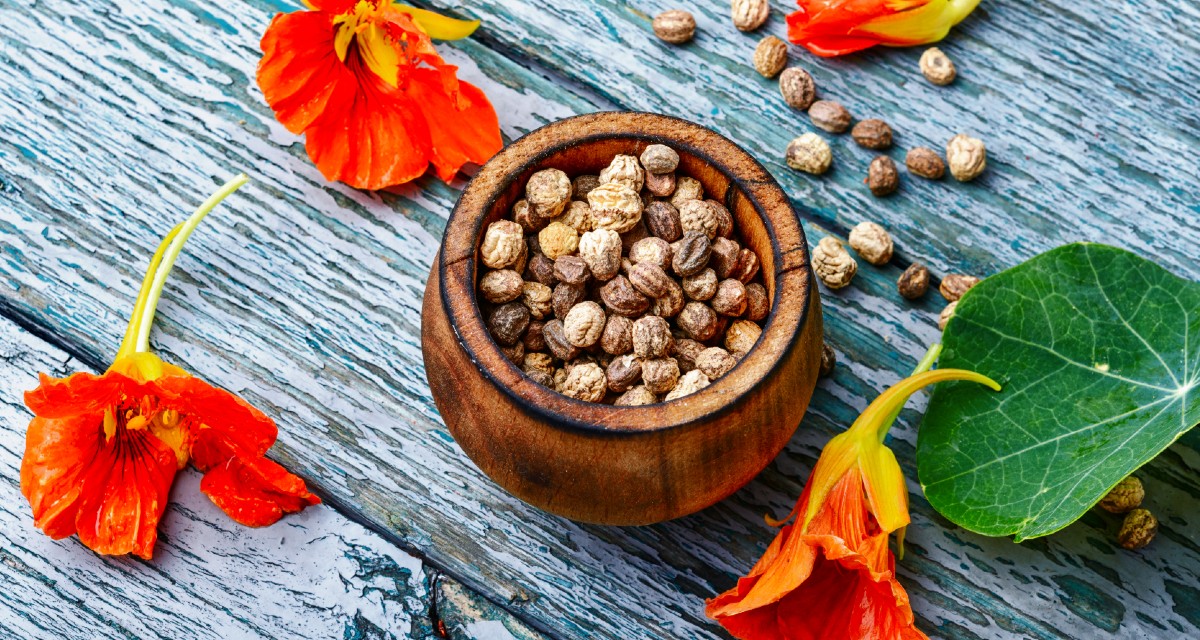 Capuchinha - Benefícios, para que serve e receitas - MundoBoaForma