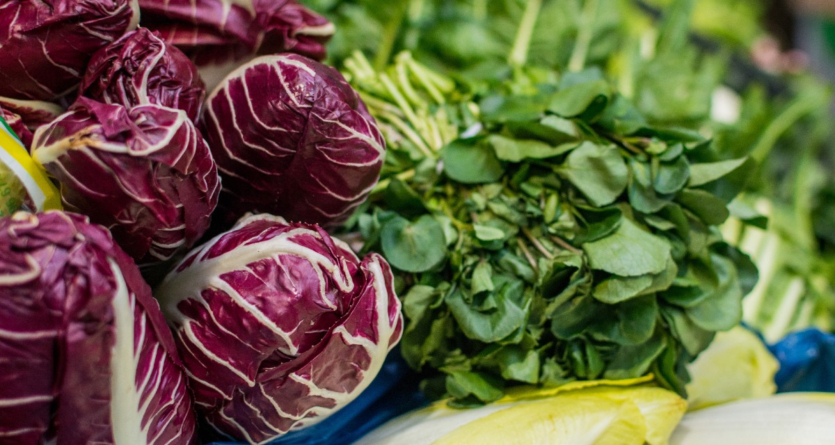 Benefícios do Radicchio e como usar - MundoBoaForma