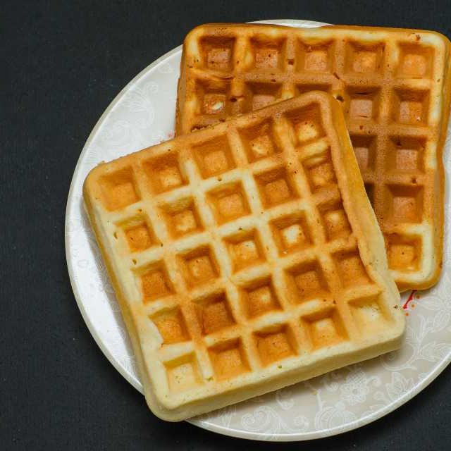 10 Receitas de Waffle Light - MundoBoaForma