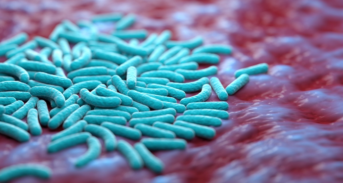 O que é supercrescimento bacteriano (SBID), sintomas e tratamento - MundoBoaForma