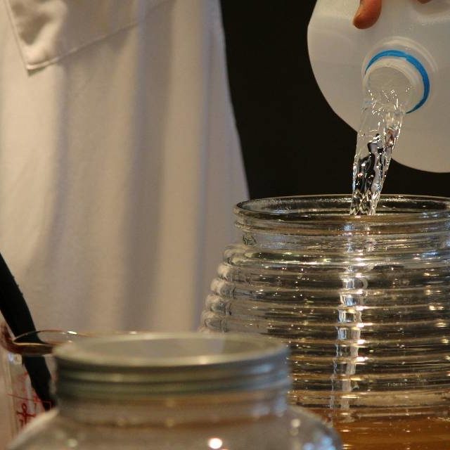 7 benefícios do kombucha - O que é, para que serve, como fazer e dicas ...