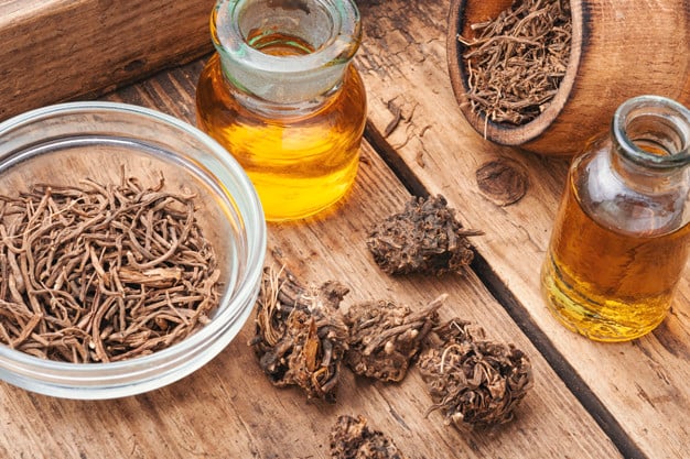 Valeriana - O que é, como consumir e contraindicações - MundoBoaForma Valeriana - O que é, como consumir e contraindicações - MundoBoaForma