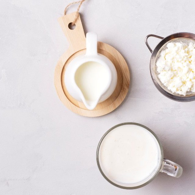 Como Fazer Leite Fermentado - Receitas e Dicas - MundoBoaForma