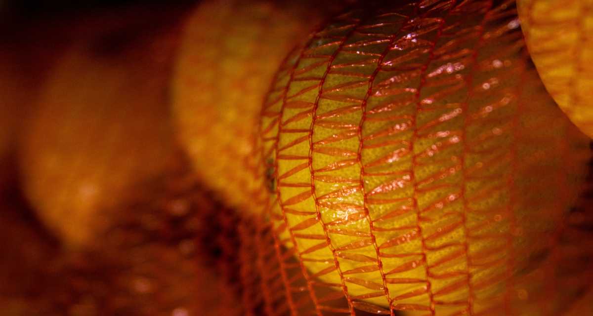 5 benefícios da abiu - Para que serve e propriedades - MundoBoaForma