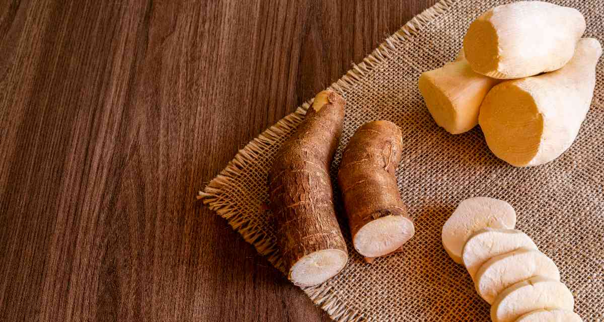 Como usar mandioca na dieta - Cuidados e dicas - MundoBoaForma