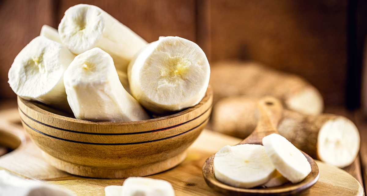 Como plantar mandioca em casa - Passo a passo e cuidados - MundoBoaForma