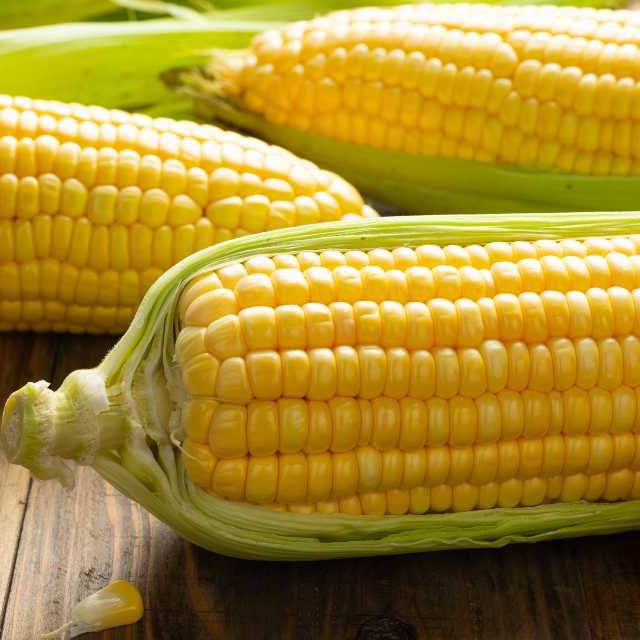 Tudo sobre propriedades do milho - MundoBoaForma