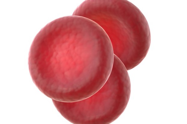 Equimose - O que é, causas e como tratar - MundoBoaForma