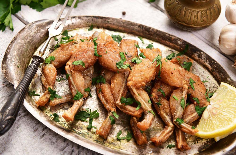 Benefícios da carne de rã - Receitas saudáveis e informações ...