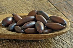 Benefícios do cumaru - O que é, para que serve e propriedades ...