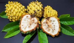 6 benefícios da fruta biribá - Para que serve e propriedades ...