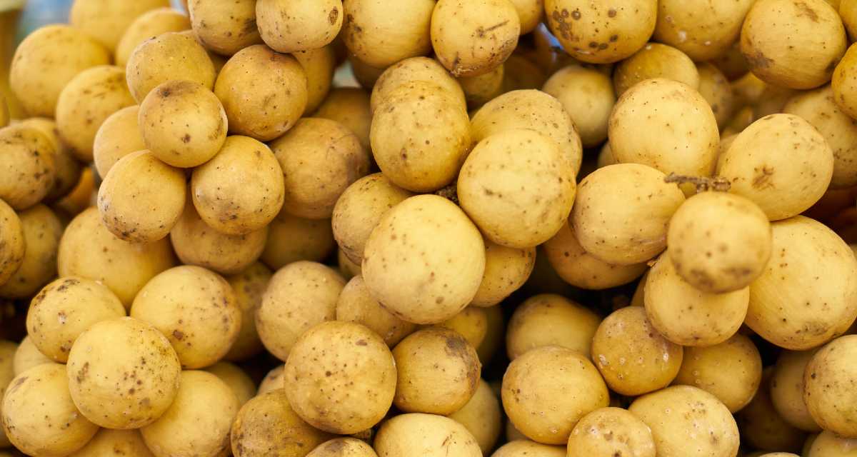 7 alimentos ricos em oxalato e como diminuir a absorção - MundoBoaForma