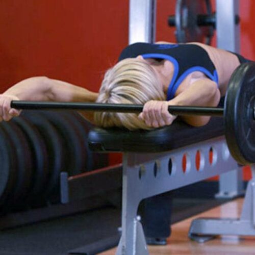 Musculação - MundoBoaForma