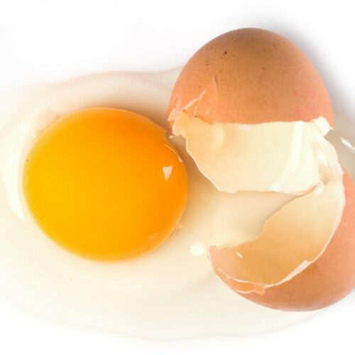 Intestino - MundoBoaForma