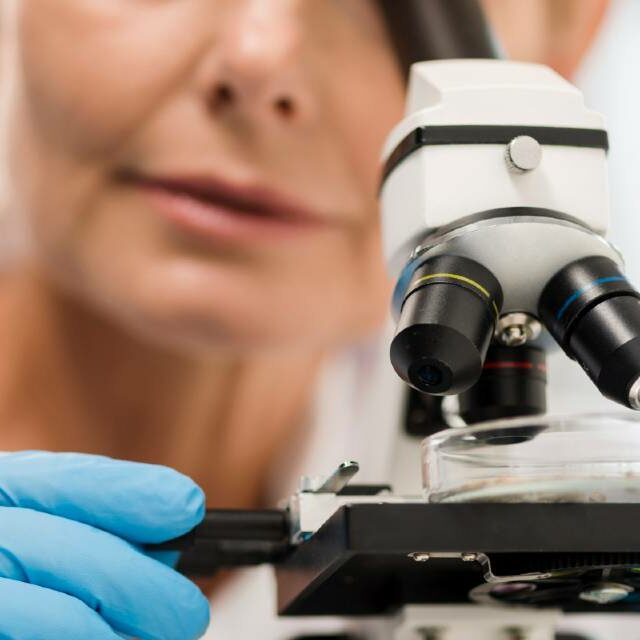 Biópsia renal: quando é indicada, como é feita e complicações ...