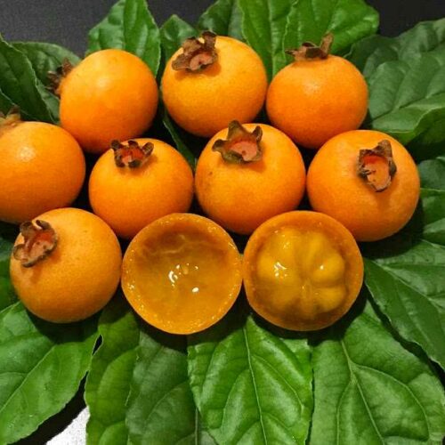 Gabiroba: o que é, benefícios e como comer - MundoBoaForma