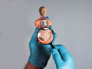 Retossigmoidectomia: o que é, quando é indicada, como é feita e ...