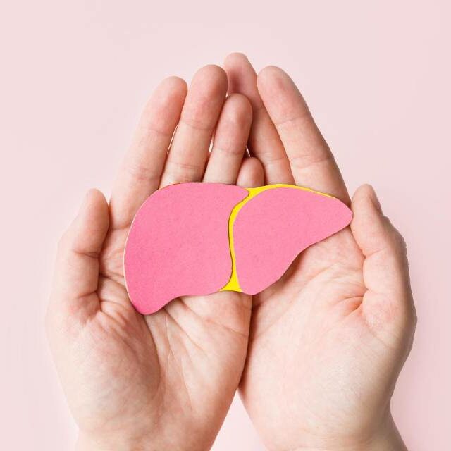 Fígado - MundoBoaForma